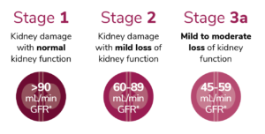 Understanding Kidney Disease - Akebia Therapeutics