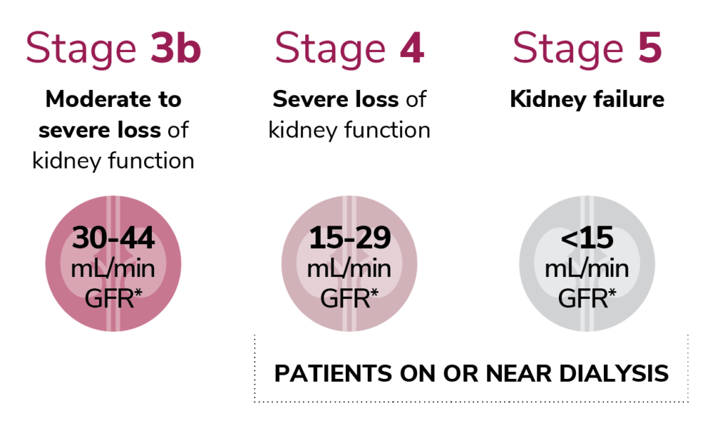 Understanding Kidney Disease - Akebia Therapeutics